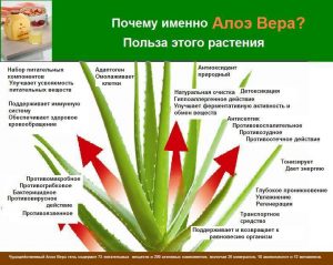 Почему Бывает Отрыжка: Причины, Лечение + 10 Способов Избежать
